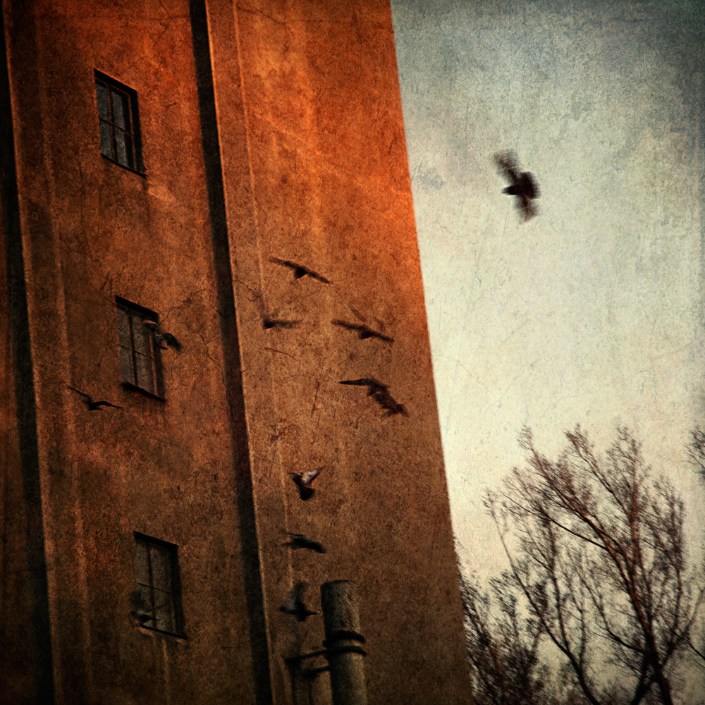 Photo Art – Maria Frodl Photography