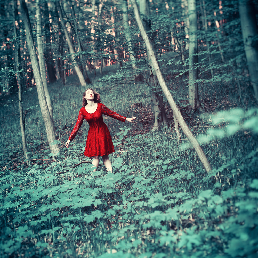 Photo Art – Maria Frodl Photography