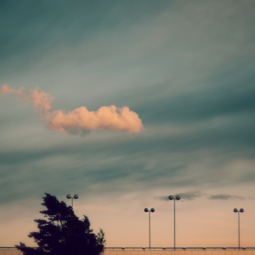 Photo Art – Maria Frodl Photography