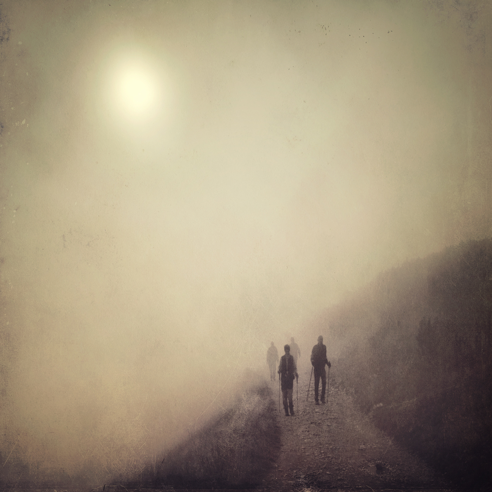 Surreal – Maria Frodl Photography