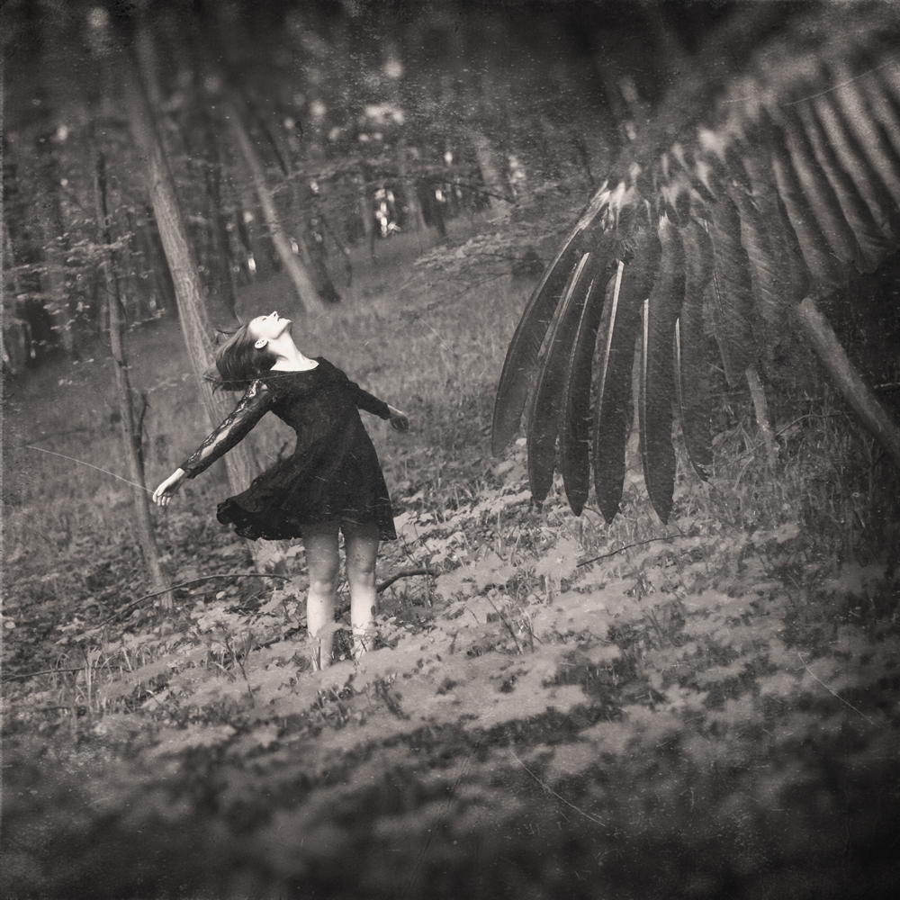 Photo Art – Maria Frodl Photography